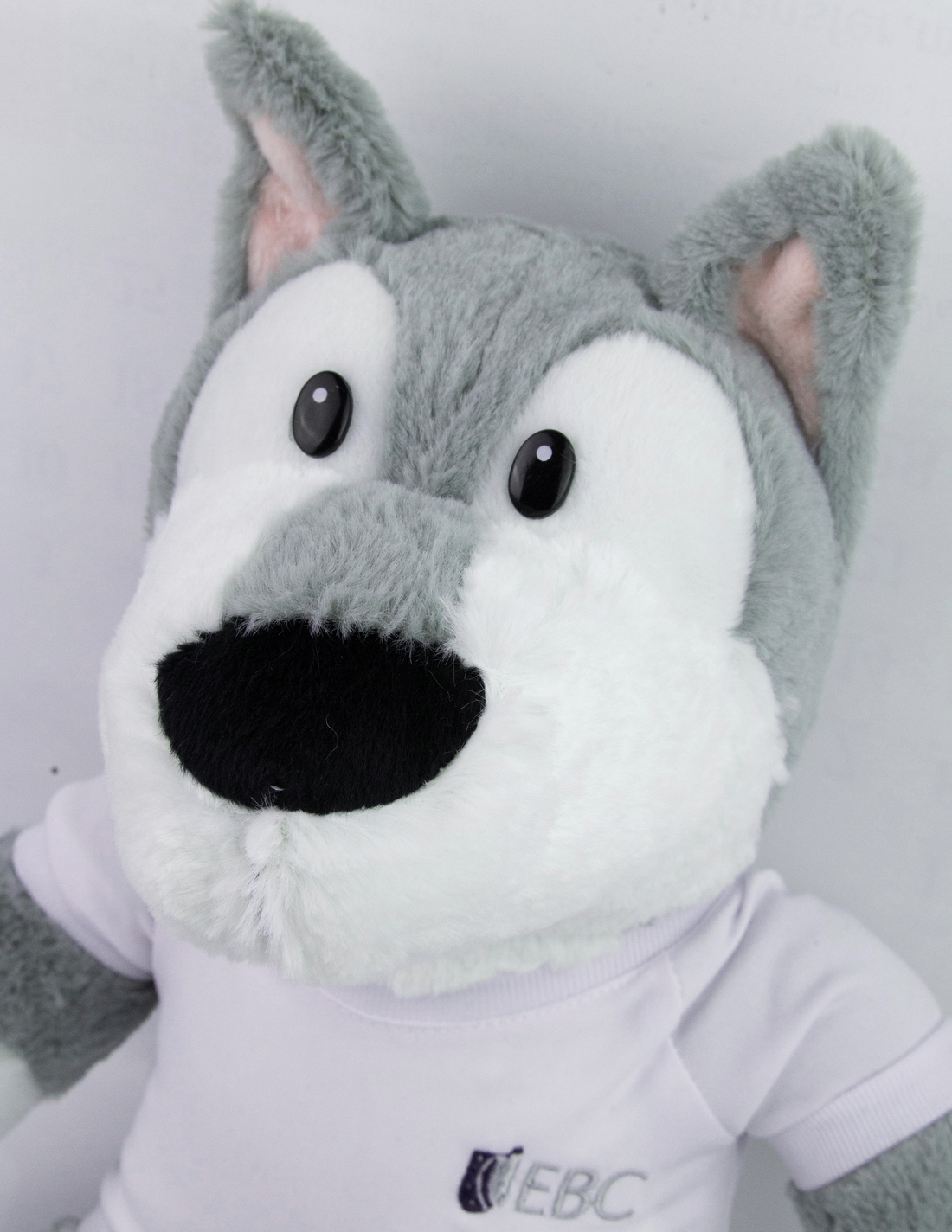 Éberic de peluche – Tienda EBC